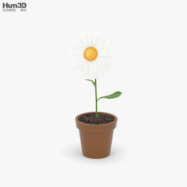 Flower pot 3D Models Download - 3DModels.org