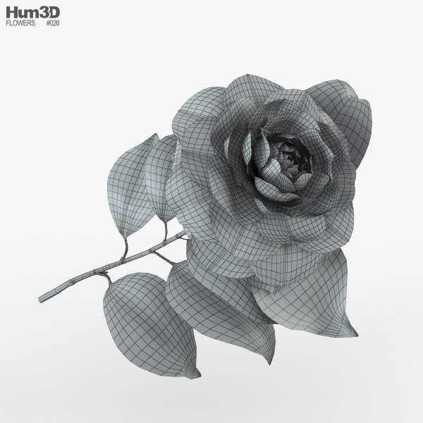Camellia 3D model - Download Flowers on 3DModels.org