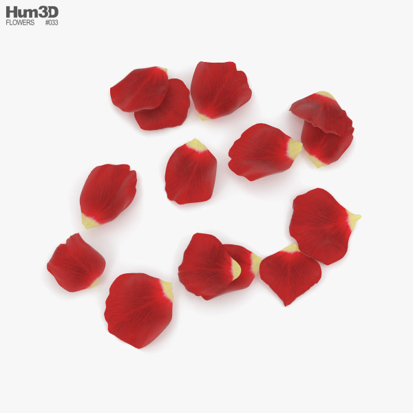 Rose Petals 3D model - Download Flowers on 3DModels.org
