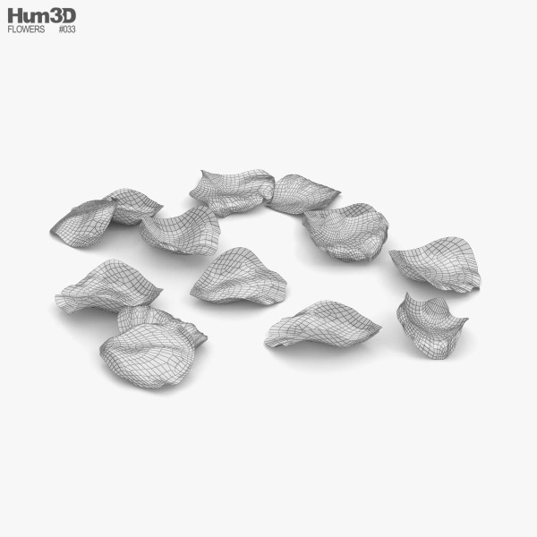 Rose Petals 3D model - Download Flowers on 3DModels.org