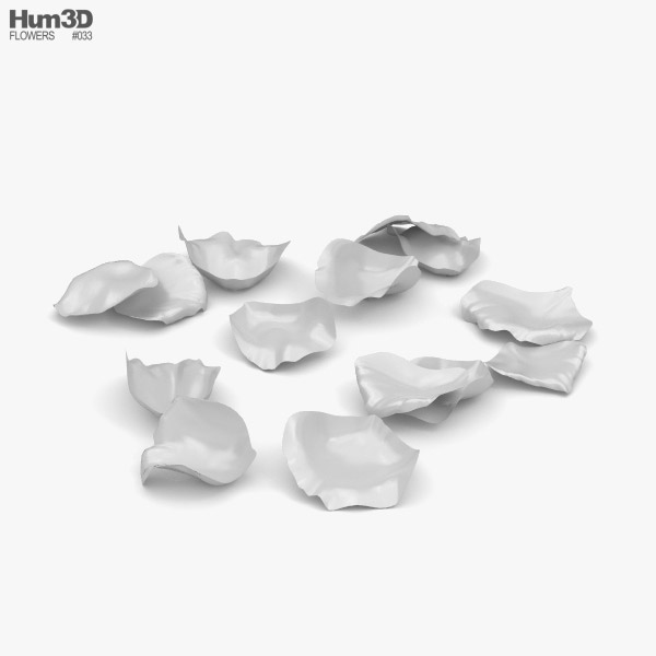 Rose Petals 3D model - Download Flowers on 3DModels.org