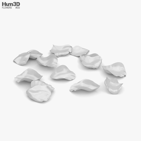 Rose Petals 3D model - Download Flowers on 3DModels.org