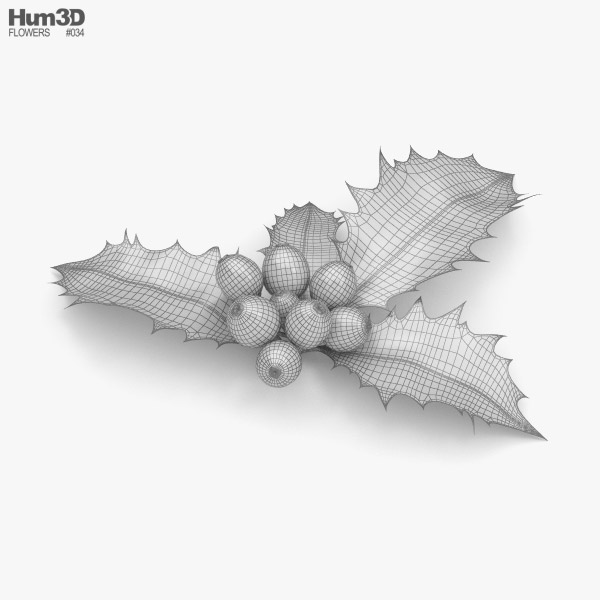 Holly 3D model - Download Flowers on 3DModels.org