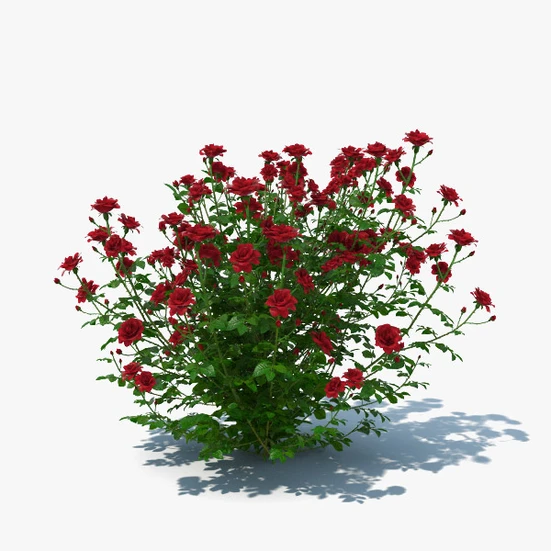 Flores Modelos 3D para Descargar - 3DModels.org