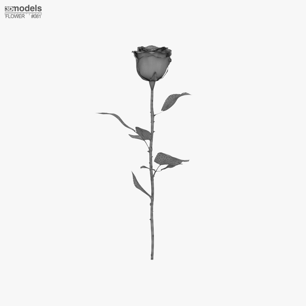 Pink Blooming Rose 3D model - Download Flowers on 3DModels.org