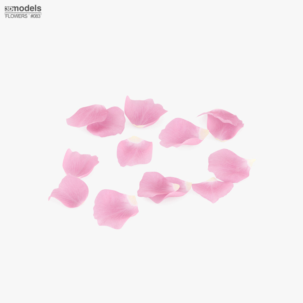 Pink Rose Petals 3D model - Download Flowers on 3DModels.org