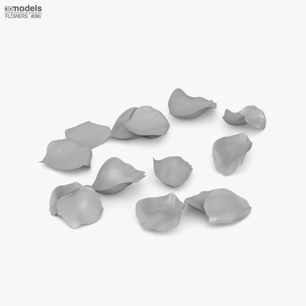 White Rose Petals 3D model - Download Flowers on 3DModels.org