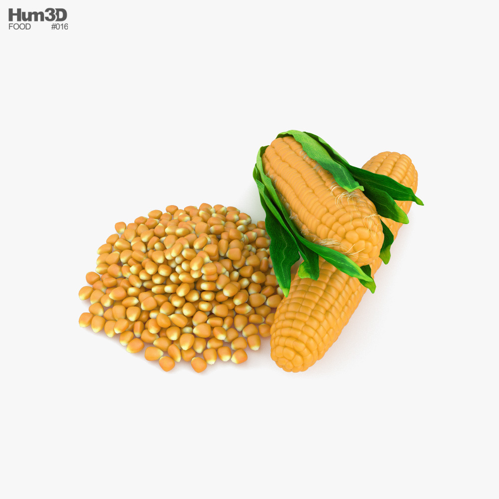 Corn 3D model - Download Farm Crops on 3DModels.org