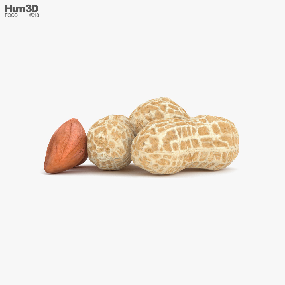 Peanuts 3D model - Download Nuts on 3DModels.org