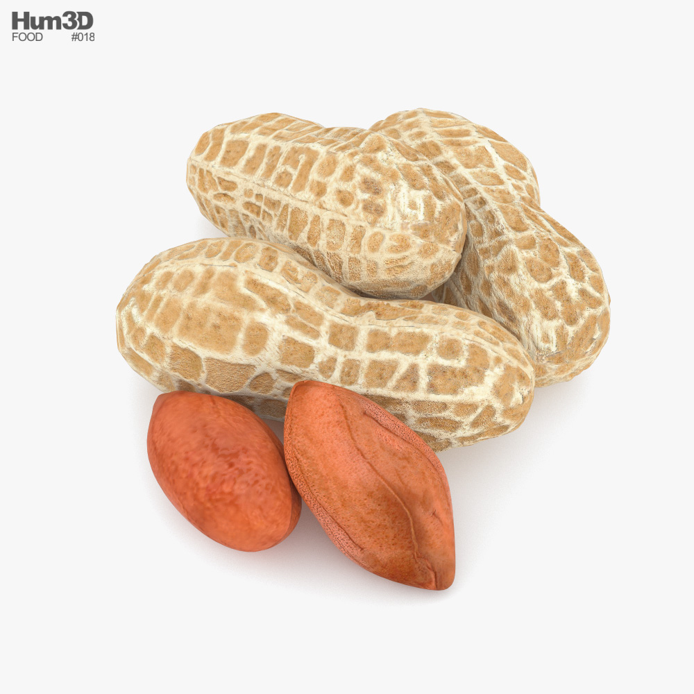 Peanuts 3D model - Download Nuts on 3DModels.org