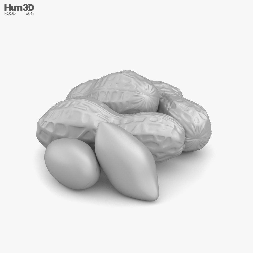 Peanuts 3D model - Download Nuts on 3DModels.org