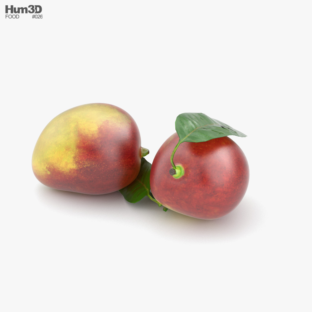 Mango 3D model - Download Fruit on 3DModels.org
