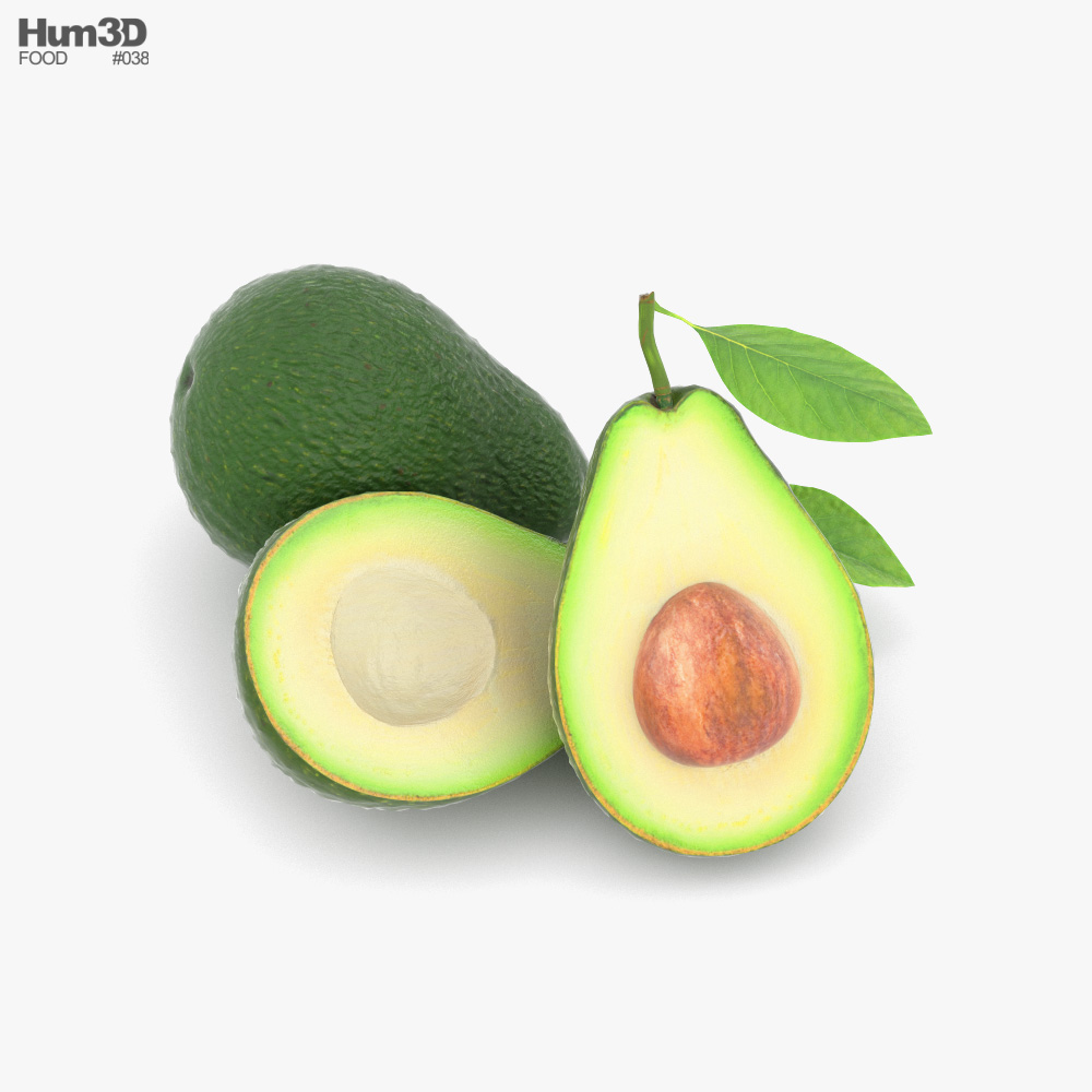 Avocado 3D model - Download Fruit on 3DModels.org