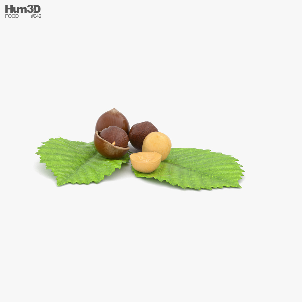 Hazelnut 3D model - Download Nuts on 3DModels.org