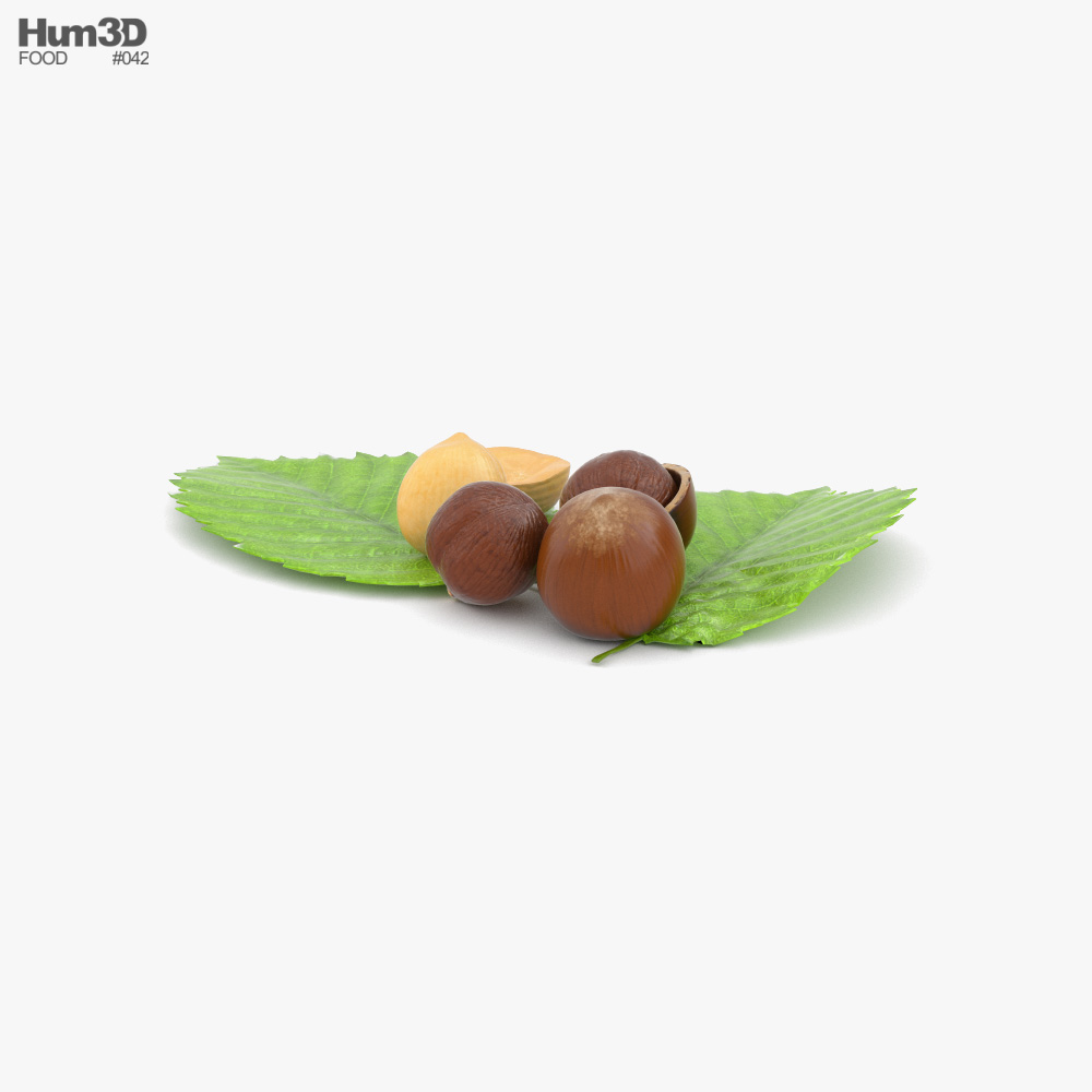 Hazelnut 3D model - Download Nuts on 3DModels.org