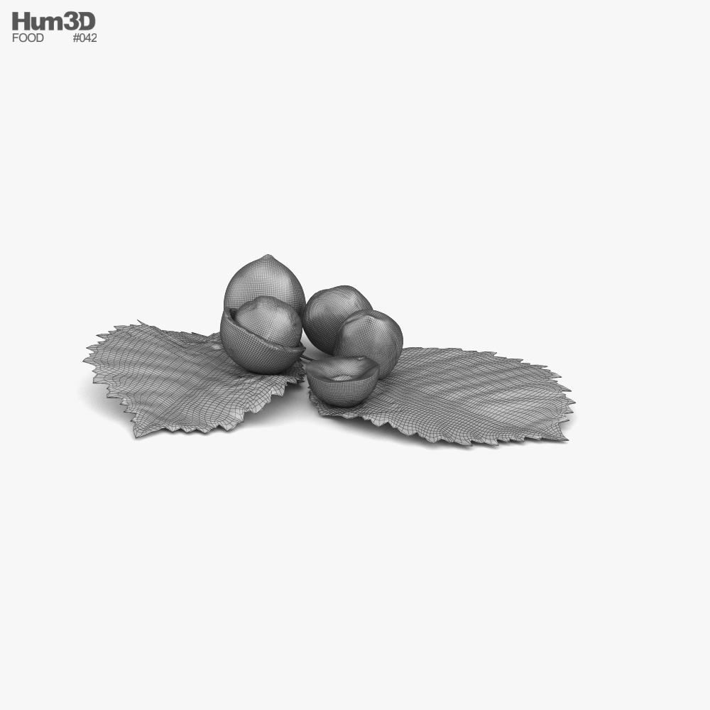 Hazelnut 3D model - Download Nuts on 3DModels.org