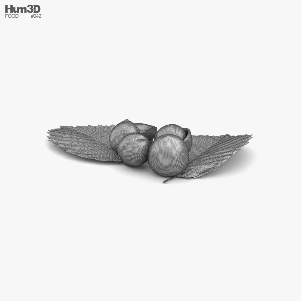 Hazelnut 3D model - Download Nuts on 3DModels.org
