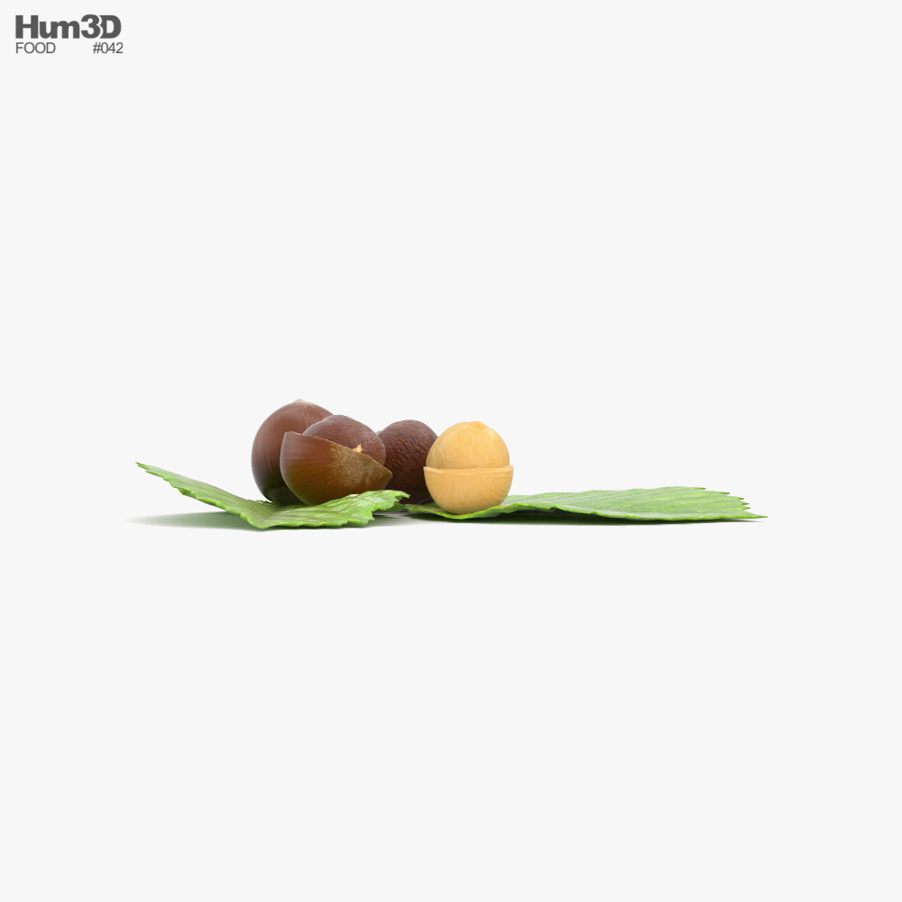 Hazelnut 3D model - Download Nuts on 3DModels.org