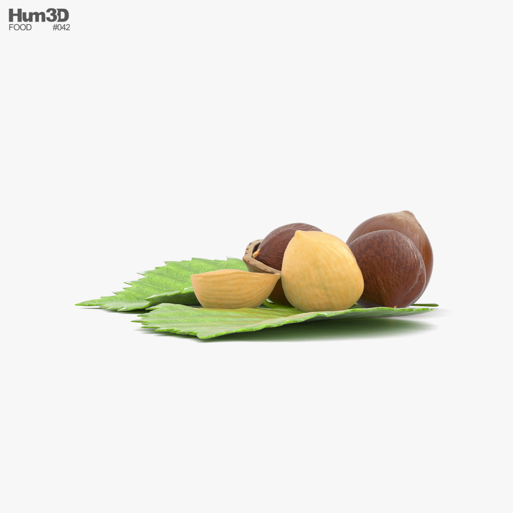 Hazelnut 3D model - Download Nuts on 3DModels.org