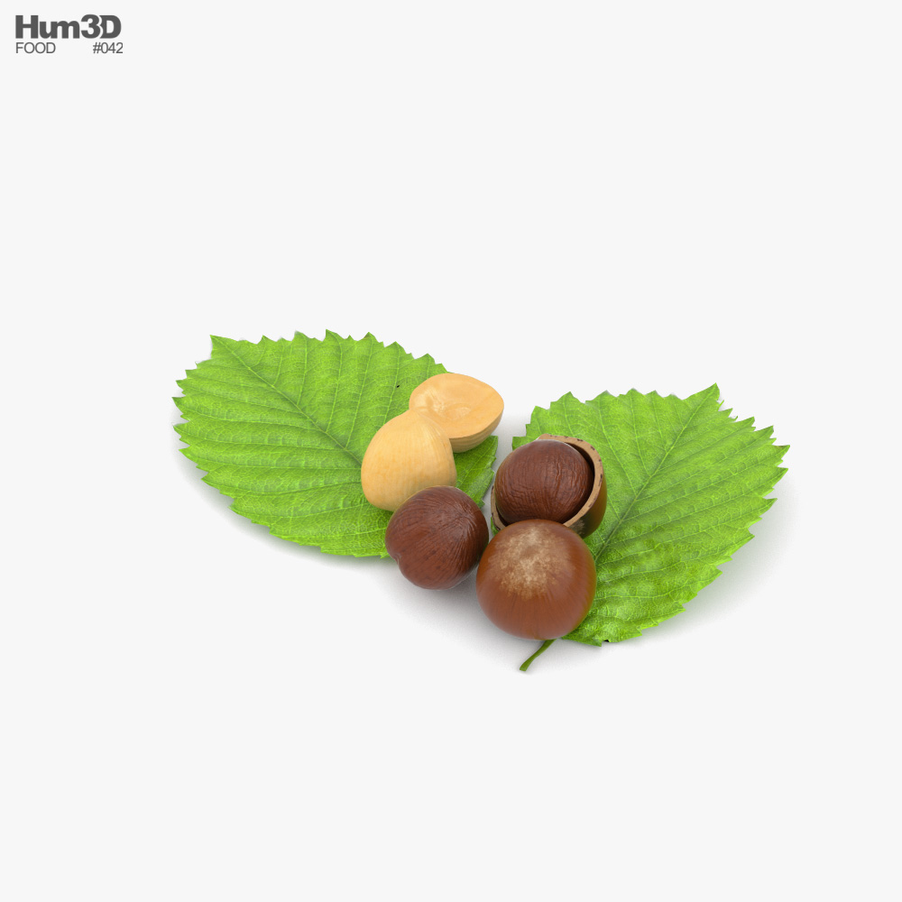 Hazelnut 3D model - Download Nuts on 3DModels.org