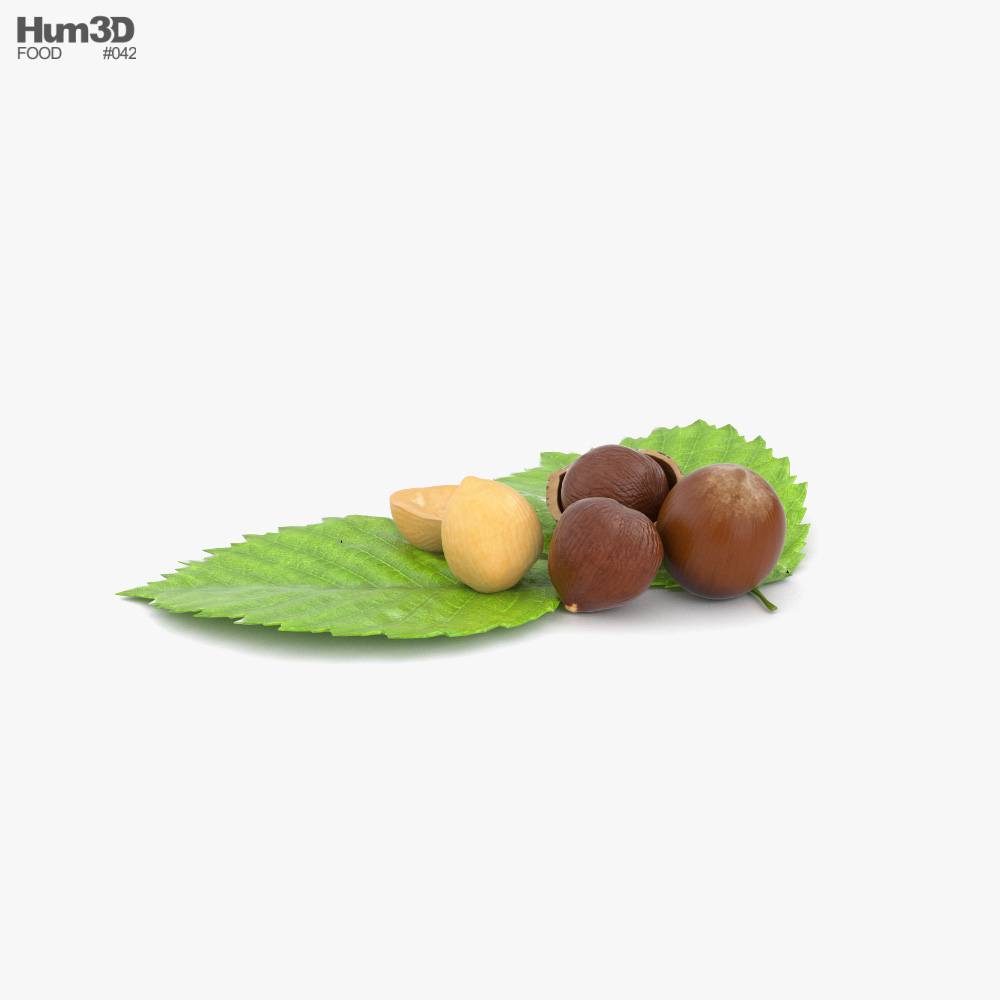 Hazelnut 3D model - Download Nuts on 3DModels.org