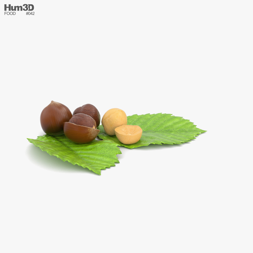 Hazelnut 3D model - Download Nuts on 3DModels.org