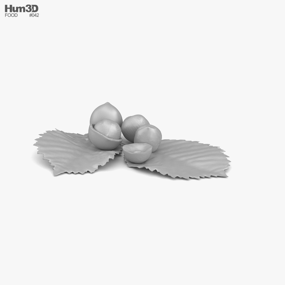 Hazelnut 3D model - Download Nuts on 3DModels.org