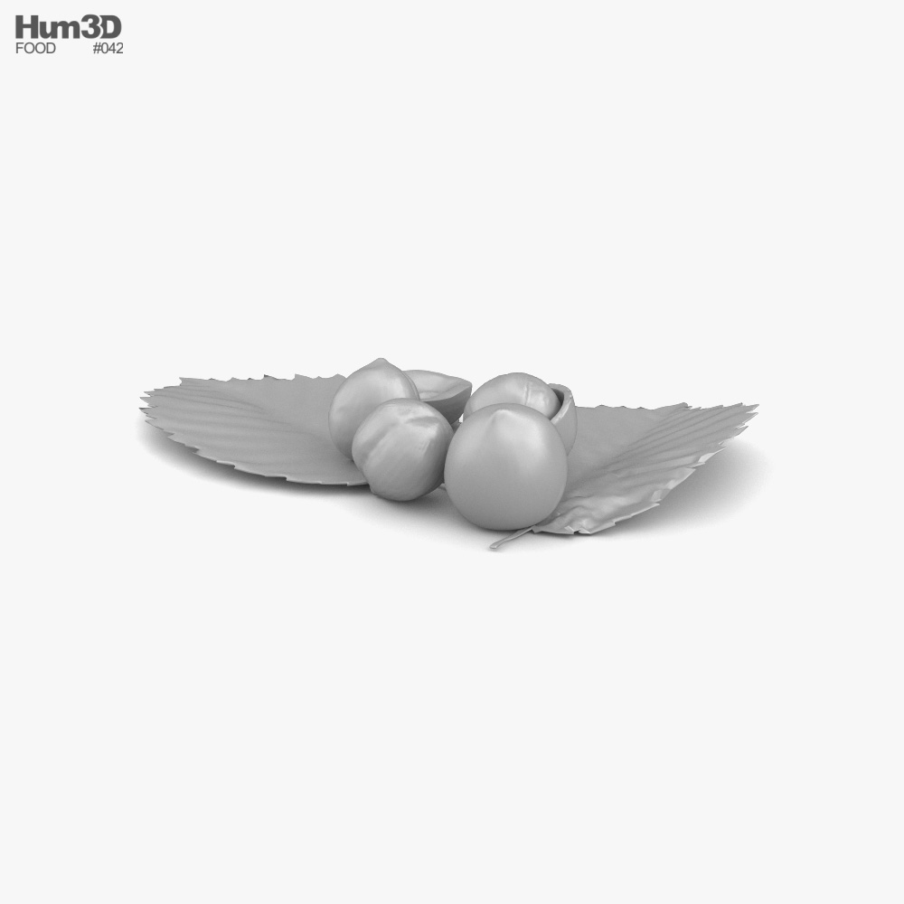 Hazelnut 3D model - Download Nuts on 3DModels.org