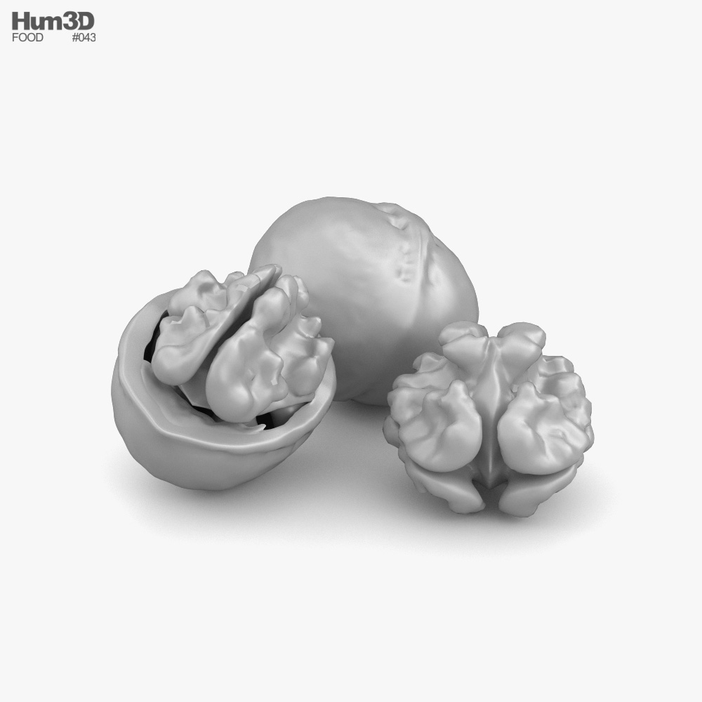 Walnut 3D model - Download Nuts on 3DModels.org