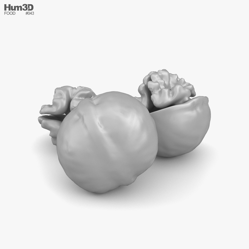 Walnut 3D model - Download Nuts on 3DModels.org