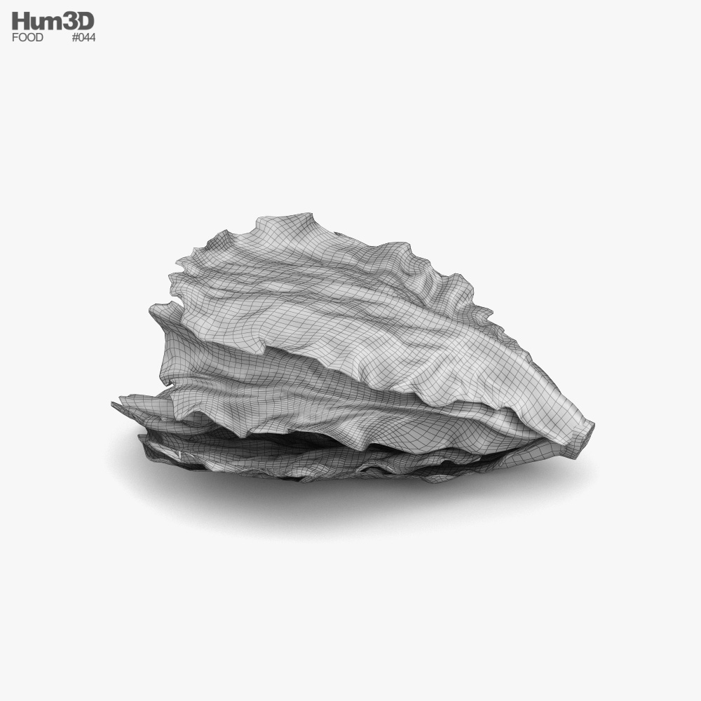 Lettuce 3D model - Download Herbs on 3DModels.org