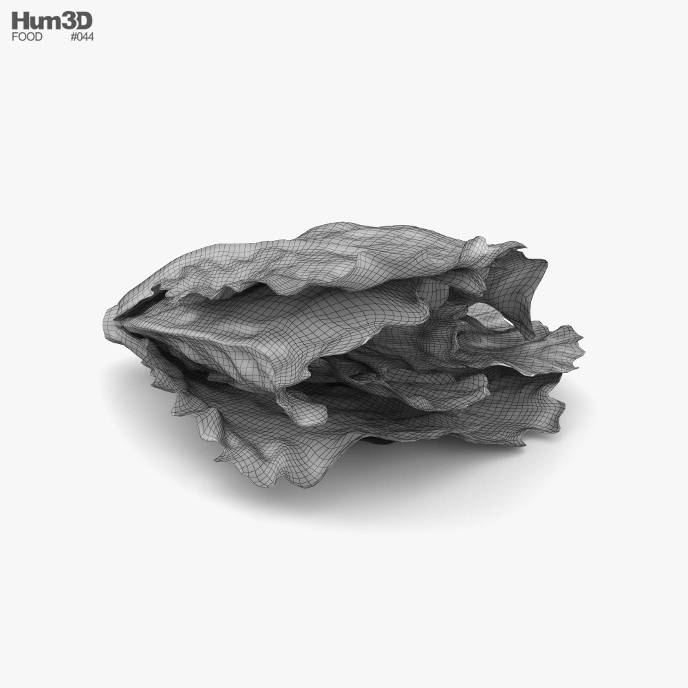 Lettuce 3D model - Download Herbs on 3DModels.org