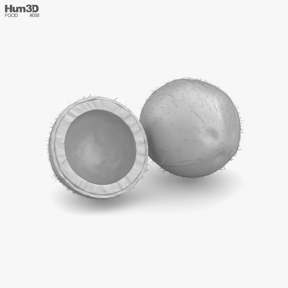 Coconut 3D model - Download Fruit on 3DModels.org