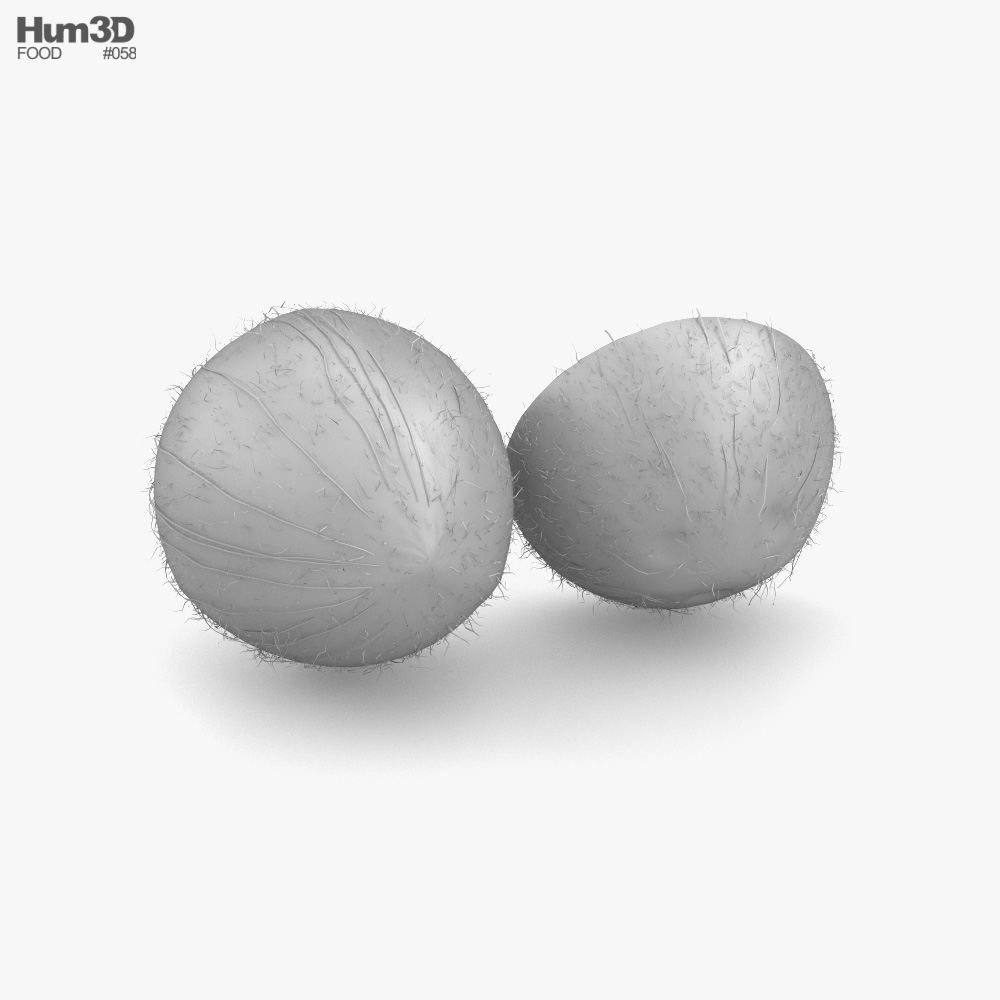 Coconut 3D model - Download Fruit on 3DModels.org