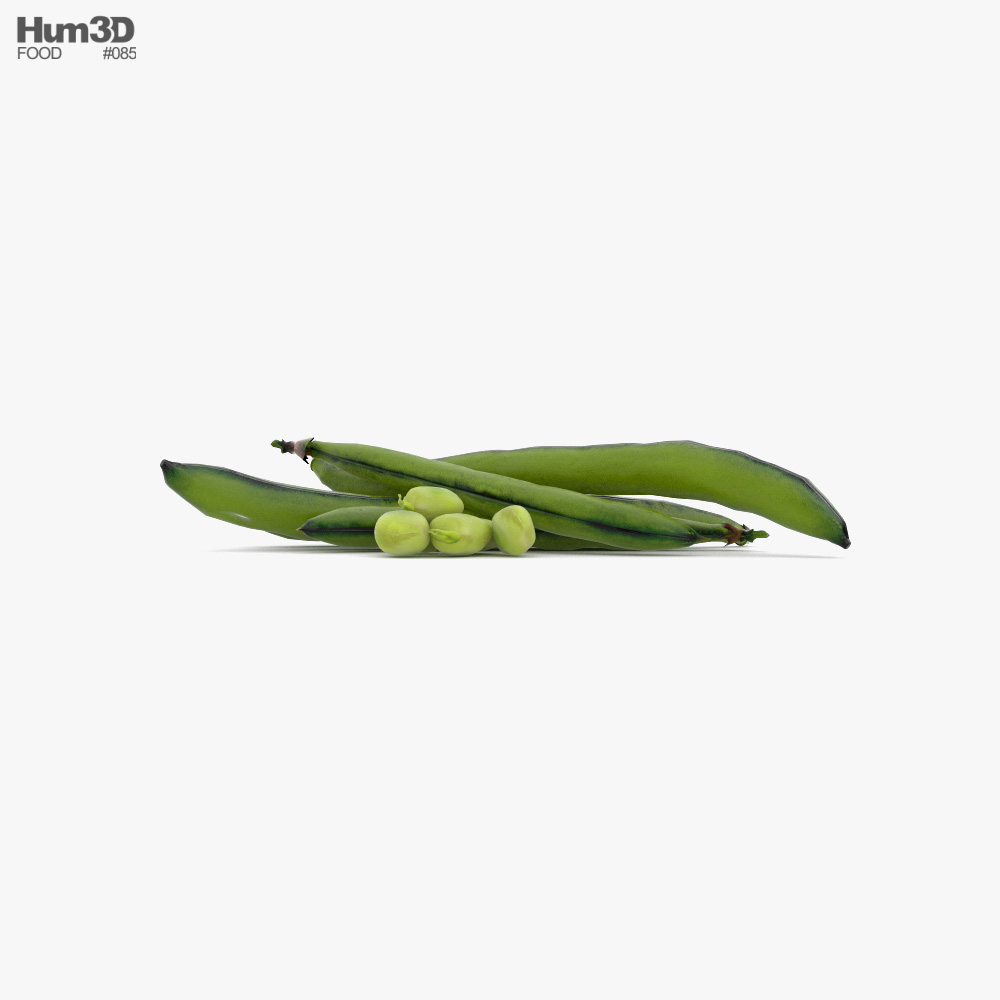 Green Bean 3D model - Download Vegetables on 3DModels.org
