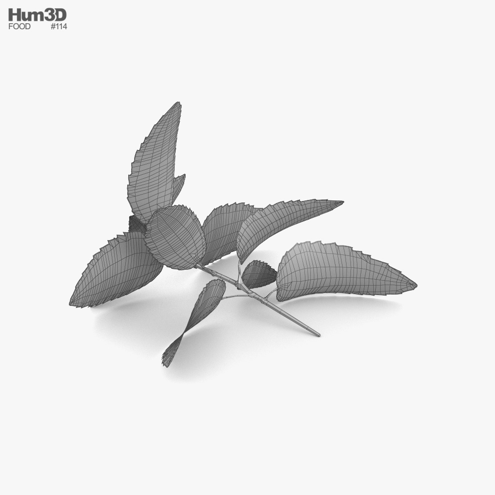 Peppermint 3D model - Download Herbs on 3DModels.org