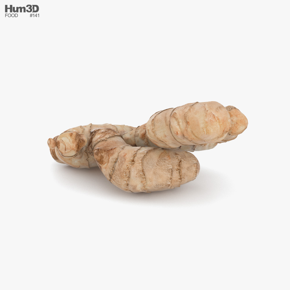 Ginger 3D model - Download Vegetables on 3DModels.org