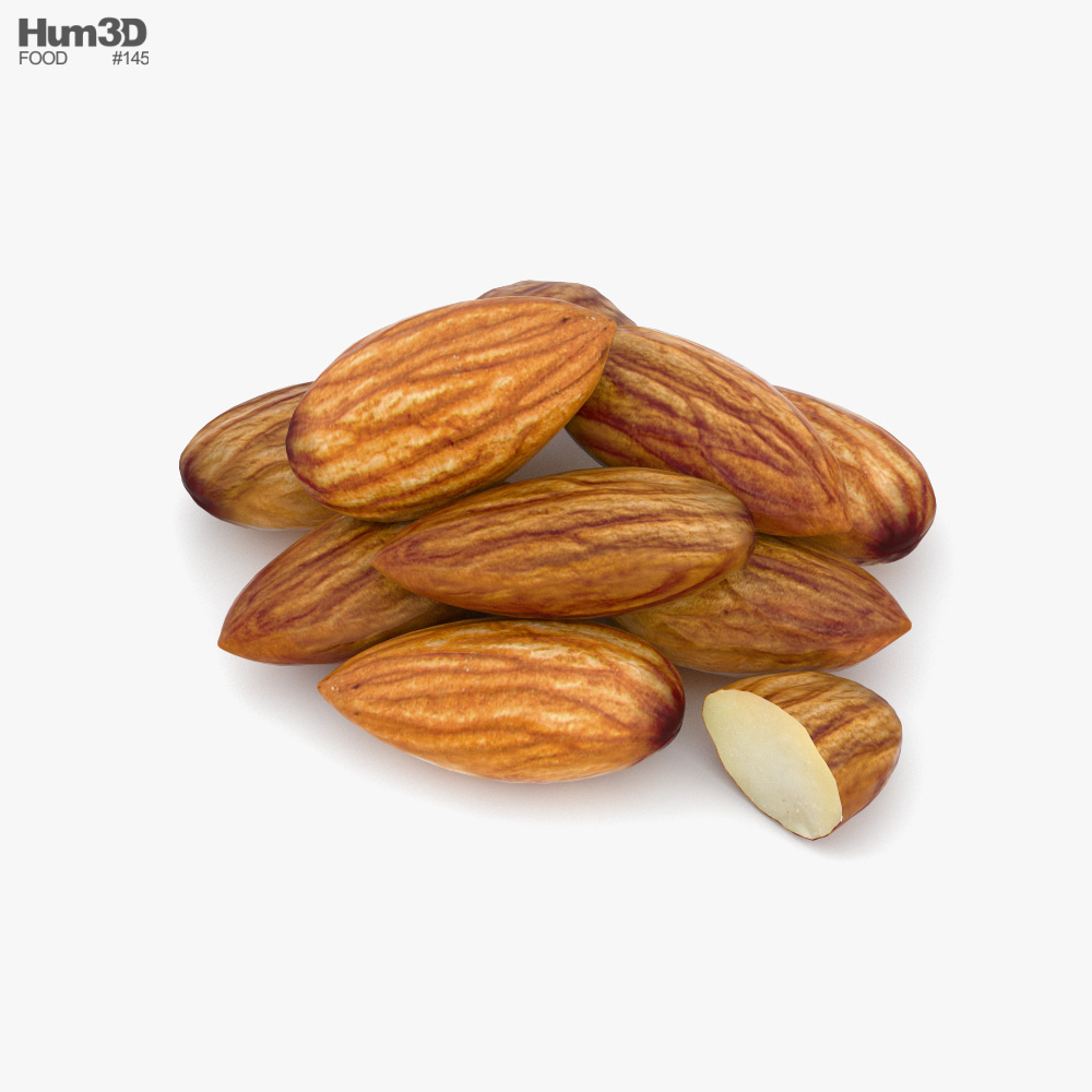 Almond 3D model - Download Nuts on 3DModels.org