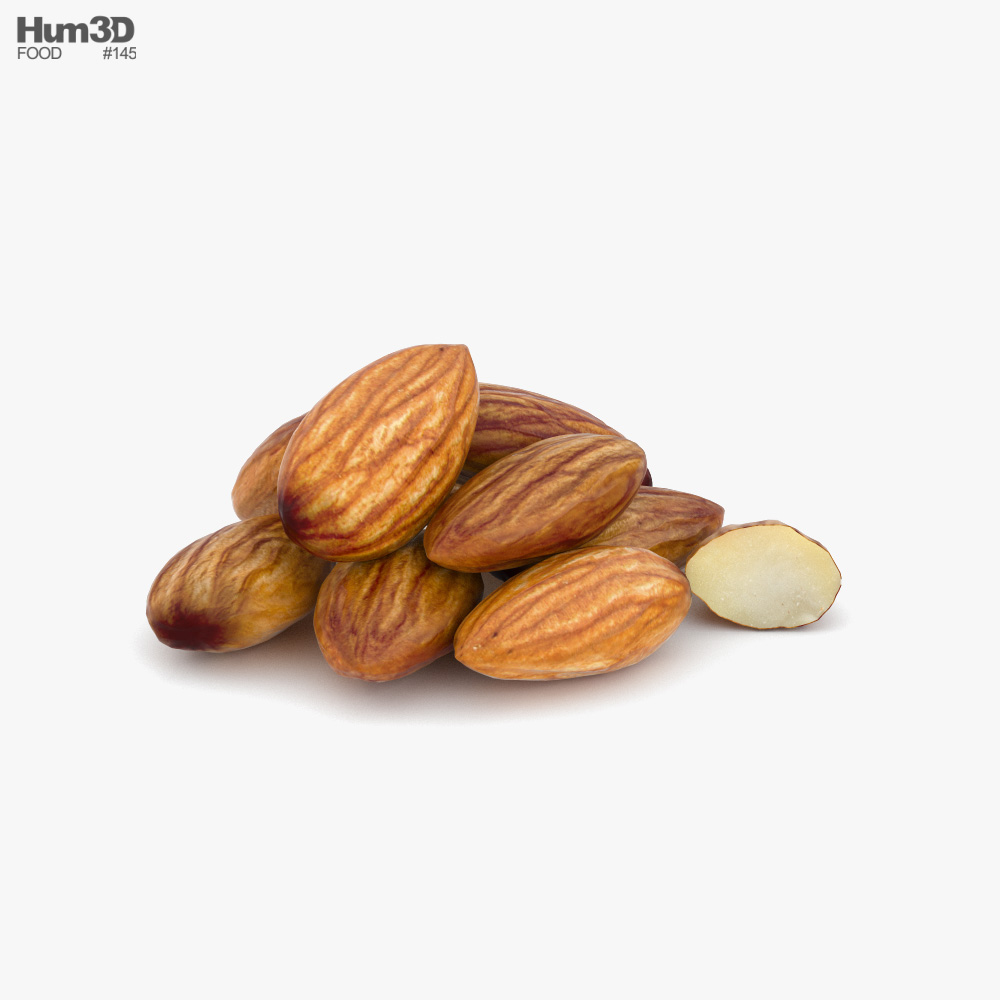 Almond 3D model - Download Nuts on 3DModels.org