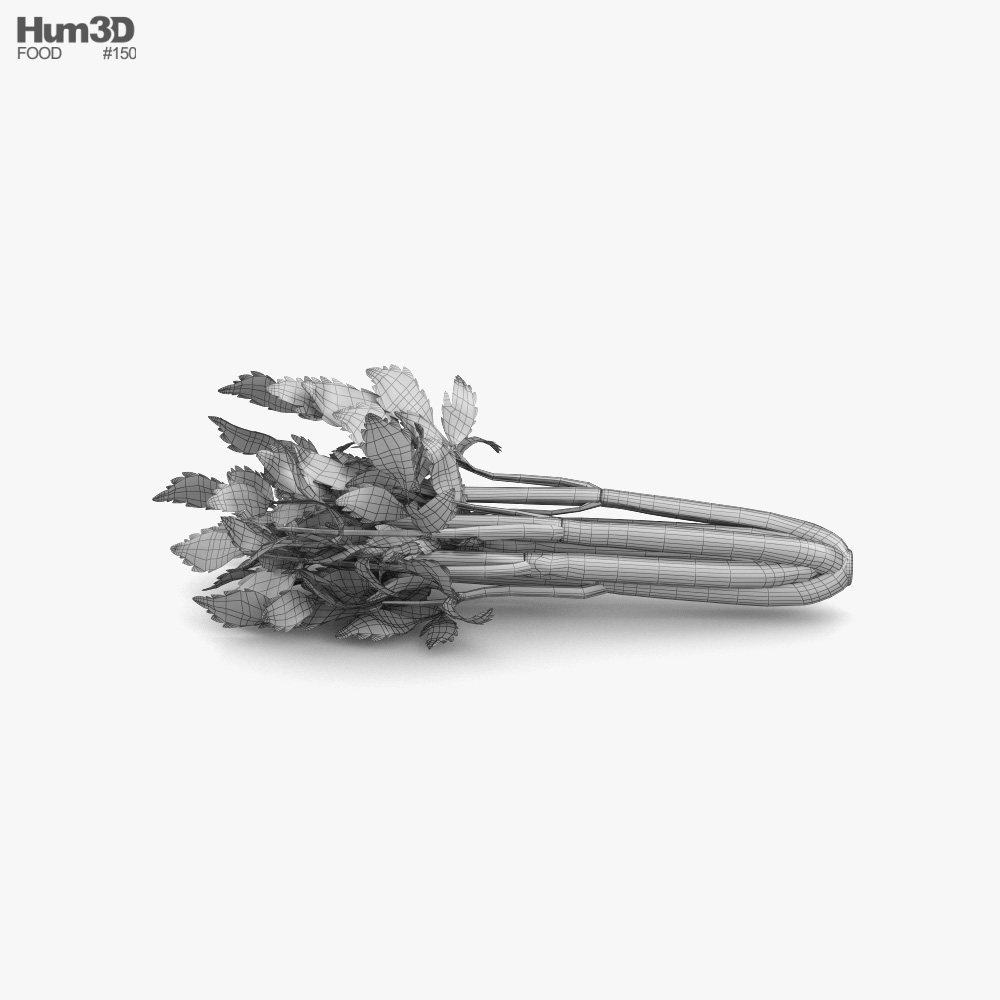 Celery 3D model - Download Herbs on 3DModels.org