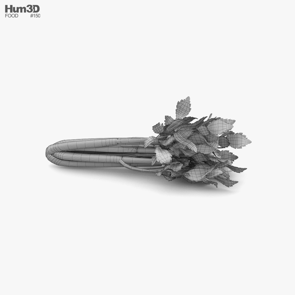 Celery 3D model - Download Herbs on 3DModels.org
