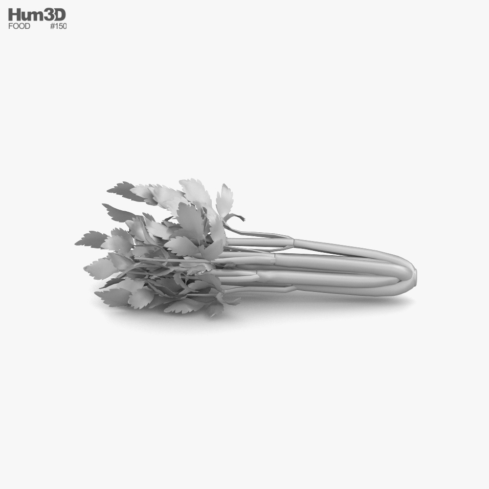 Celery 3D model - Download Herbs on 3DModels.org