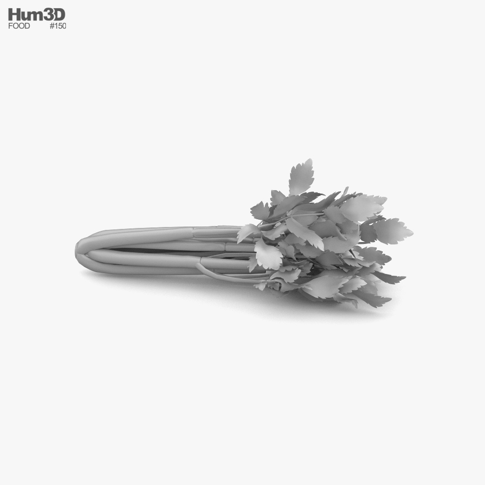 Celery 3D model - Download Herbs on 3DModels.org