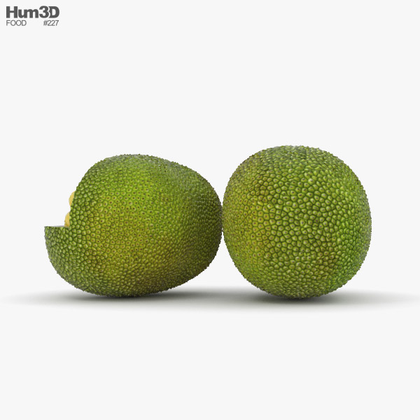 Jackfruit 3D model - Download Fruit on 3DModels.org