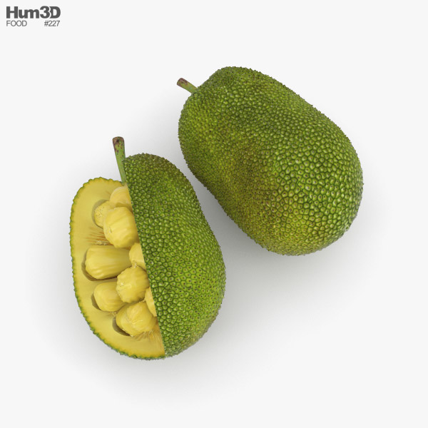 Jackfruit 3D model - Download Fruit on 3DModels.org