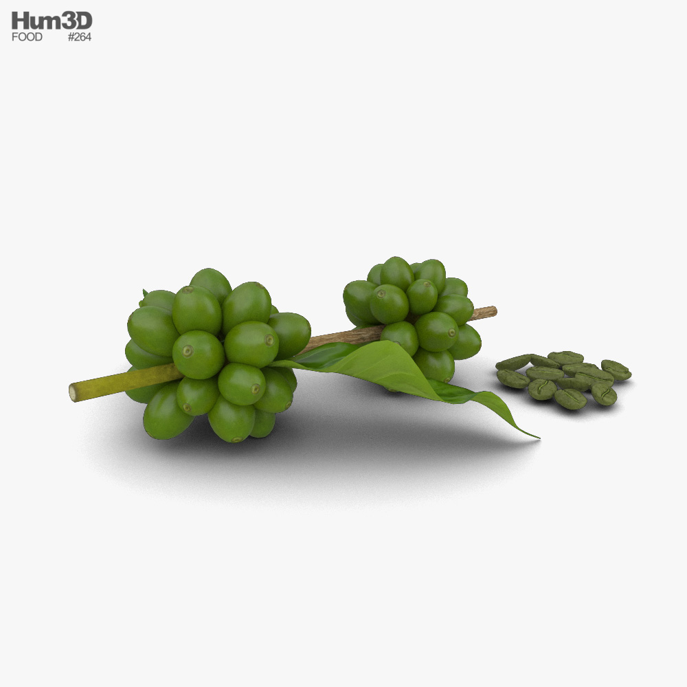 Green Coffee Beans 3D model - Download Farm Crops on 3DModels.org