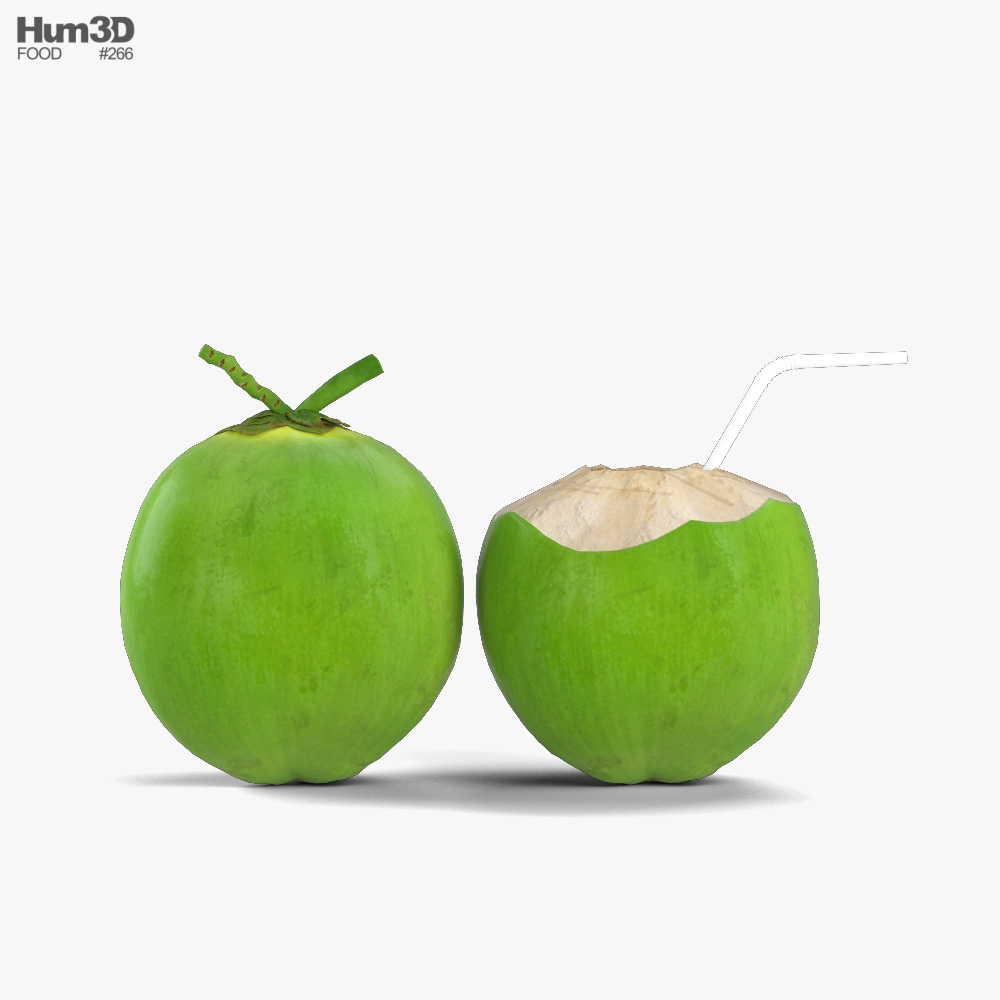 Green Coconut 3D model - Download Fruit on 3DModels.org