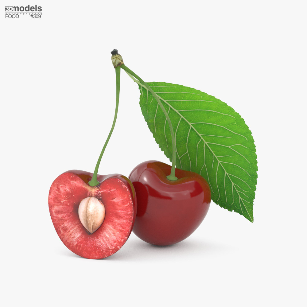 Cherry Cut Half 3D model - Download Fruit on 3DModels.org