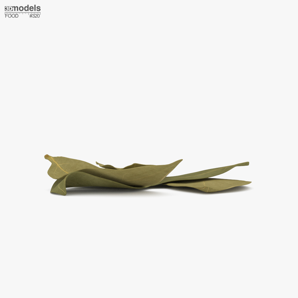 Bay Leaf 3D model - Download Herbs on 3DModels.org