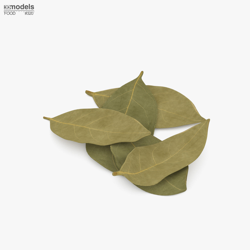 Bay Leaf 3D model - Download Herbs on 3DModels.org